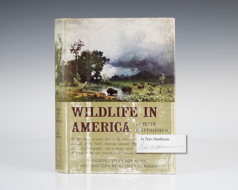Wildlife in America Peter Matthiessen First Edition Signed Rare